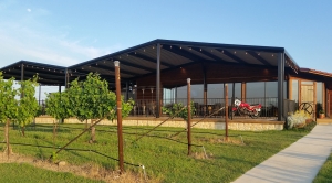 Home - Arché Wines